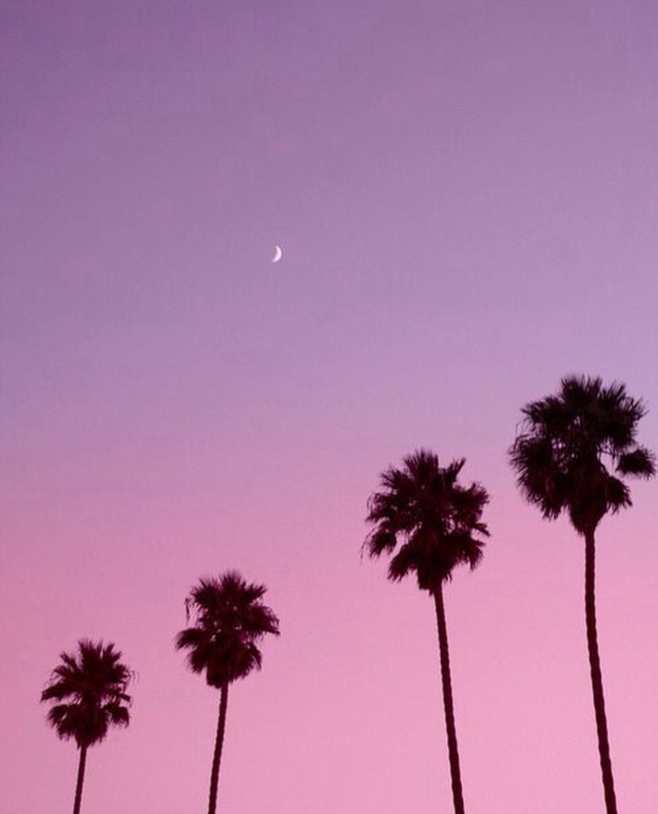 Georgie • Opaque deep, soulful plum – the bkr archives
